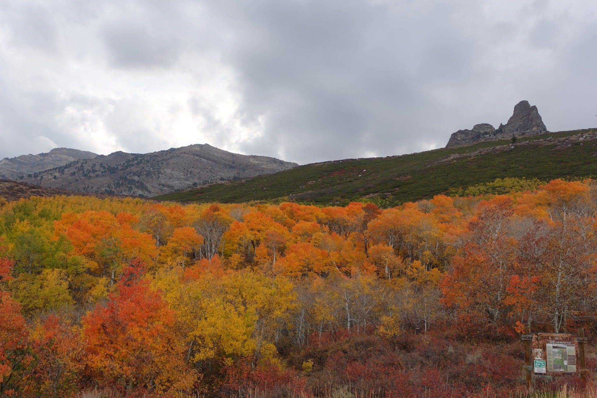 Where to See the Best Fall Foliage in Nevada | nevadafallcolor.com