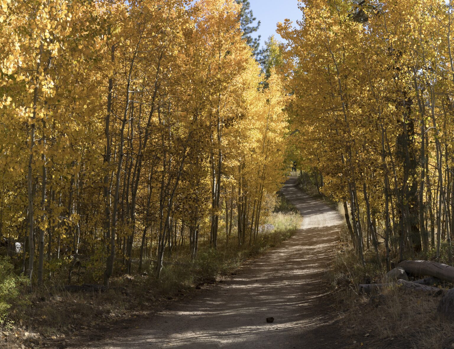 Spooner Lake State Park and Marlette Lake Near Peak | nevadafallcolor.com