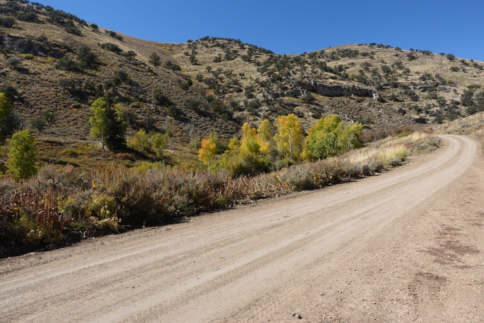 A Successful Fall Color Drive on Ely’s Success Loop | nevadafallcolor.com