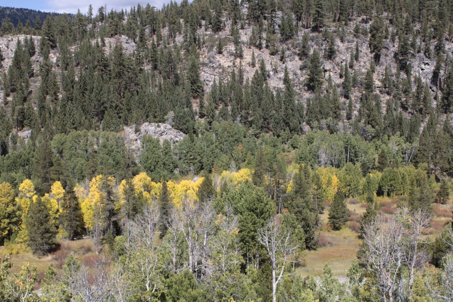 Hope Valley Fall Color—Off to a Pretty Start | nevadafallcolor.com
