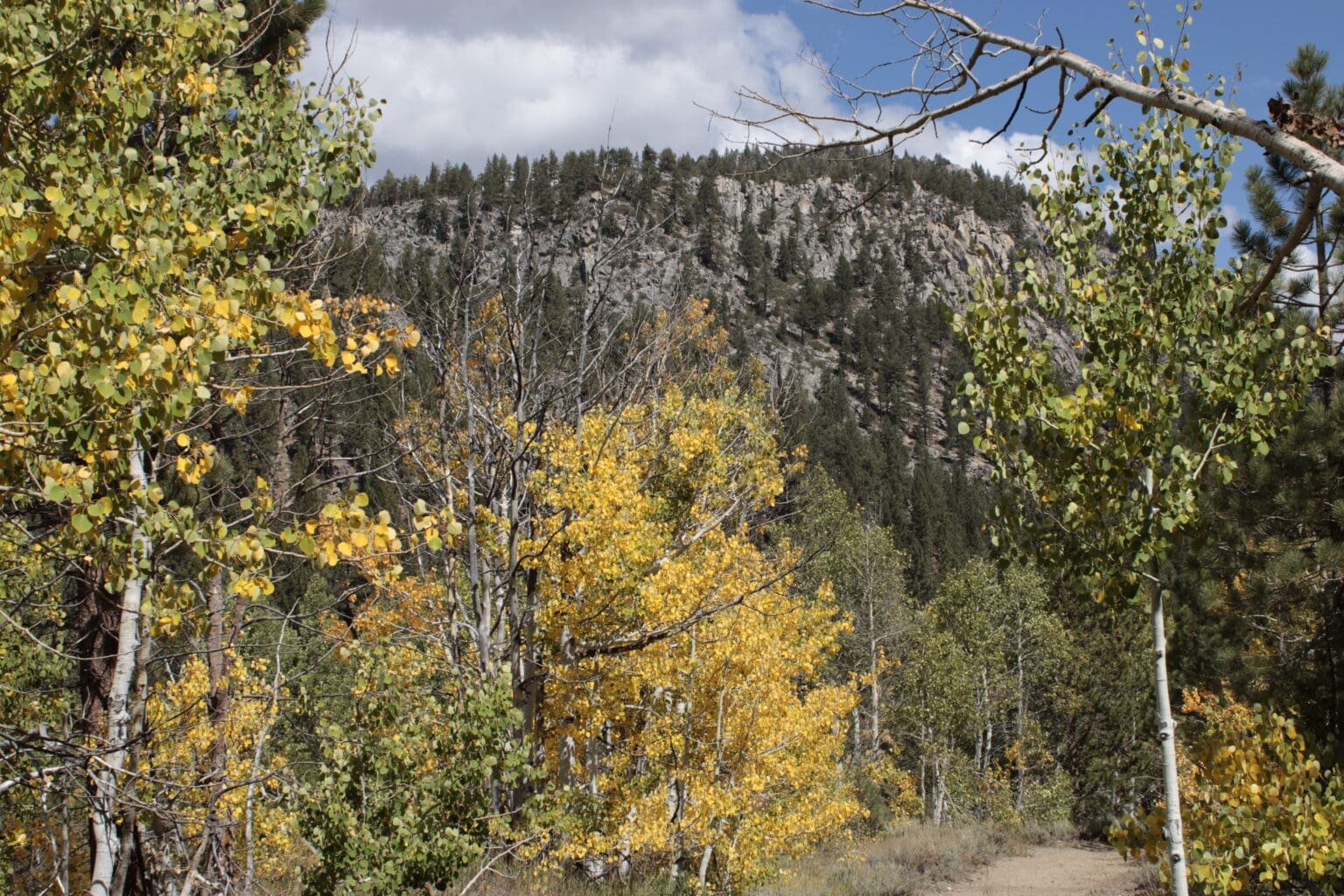 Hope Valley Fall Color—Off to a Pretty Start | nevadafallcolor.com
