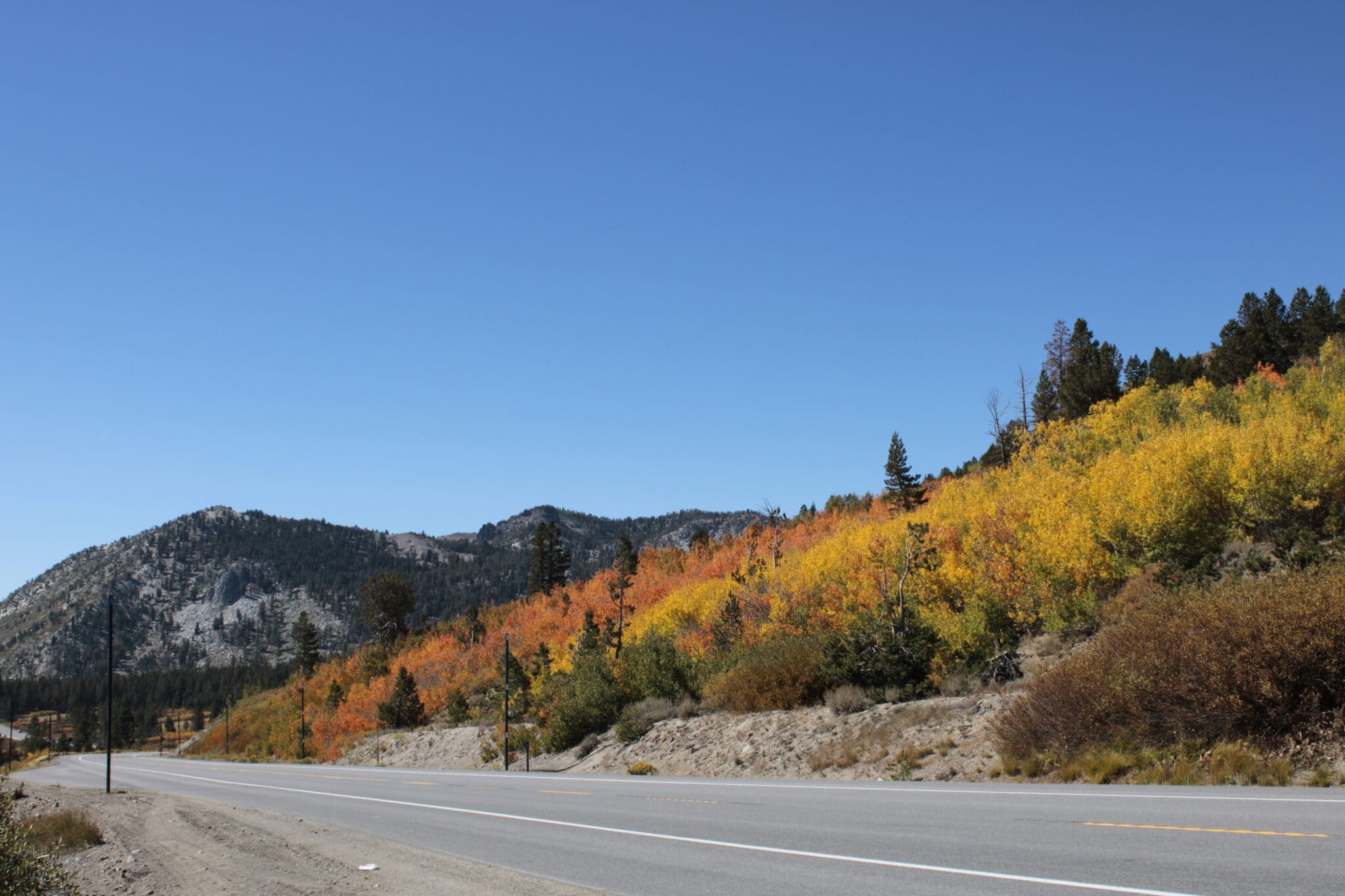 Fall Color Near Reno: Upper Mount Rose Highway At Peak ...